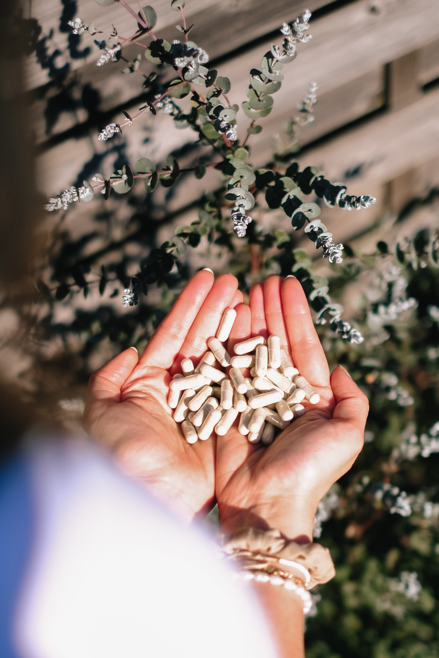 Haarpflege im Frühling: 5 Tipps für gesundes, kräftiges Haar